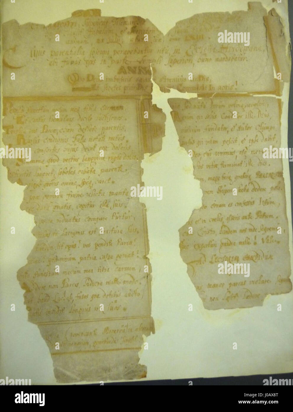 The manuscript 'Ms.4 744 b Paus' from 1653 contains a Latin memorial ...