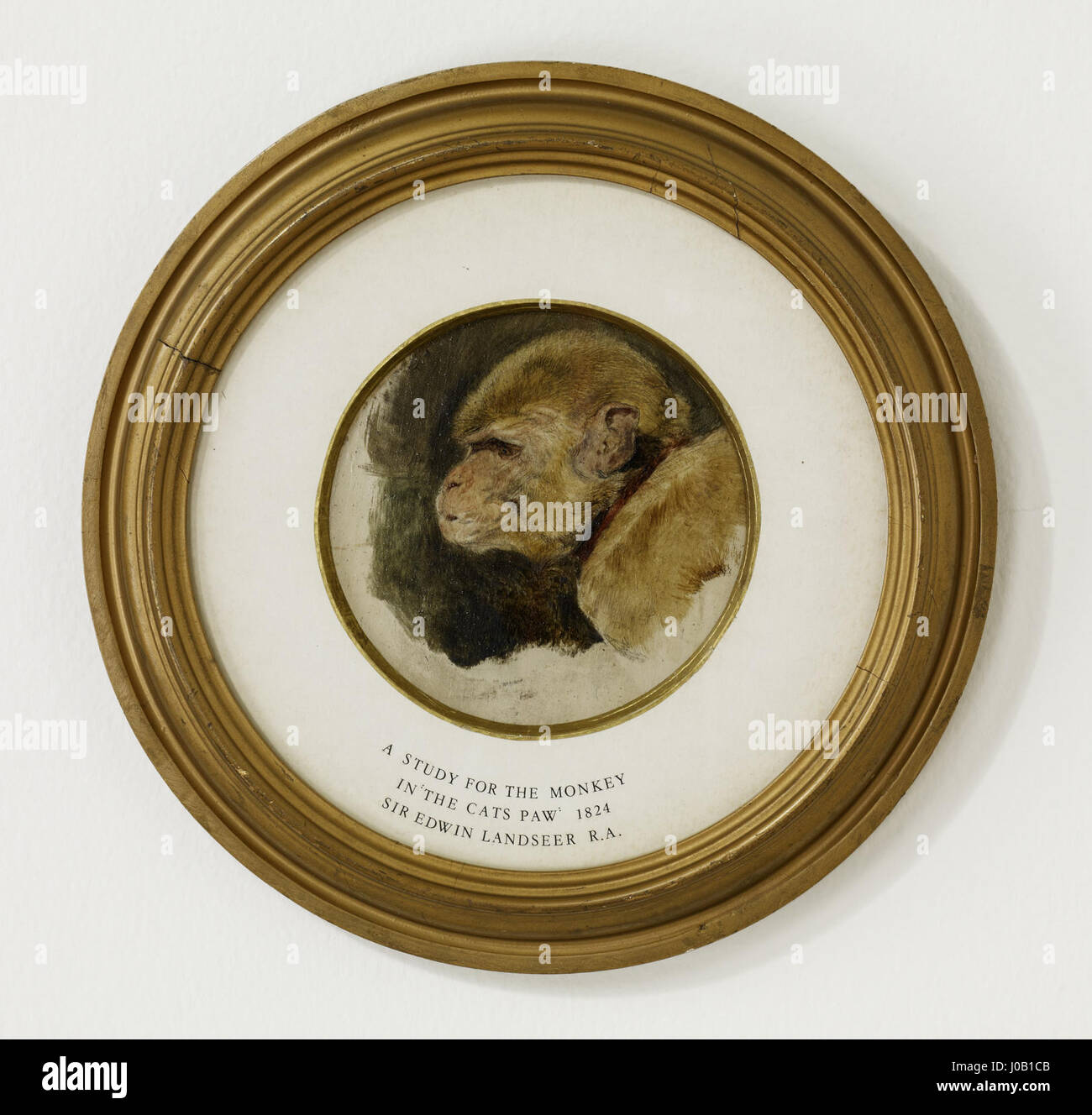 This study by Sir Edwin Henry Landseer features a monkey, which was ...