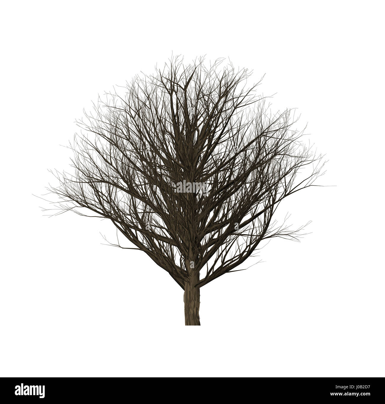 Dead trees of computer graphics in create isolated on white background ...