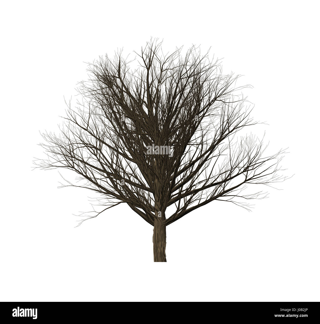 Dead trees of computer graphics in create isolated on white background ...