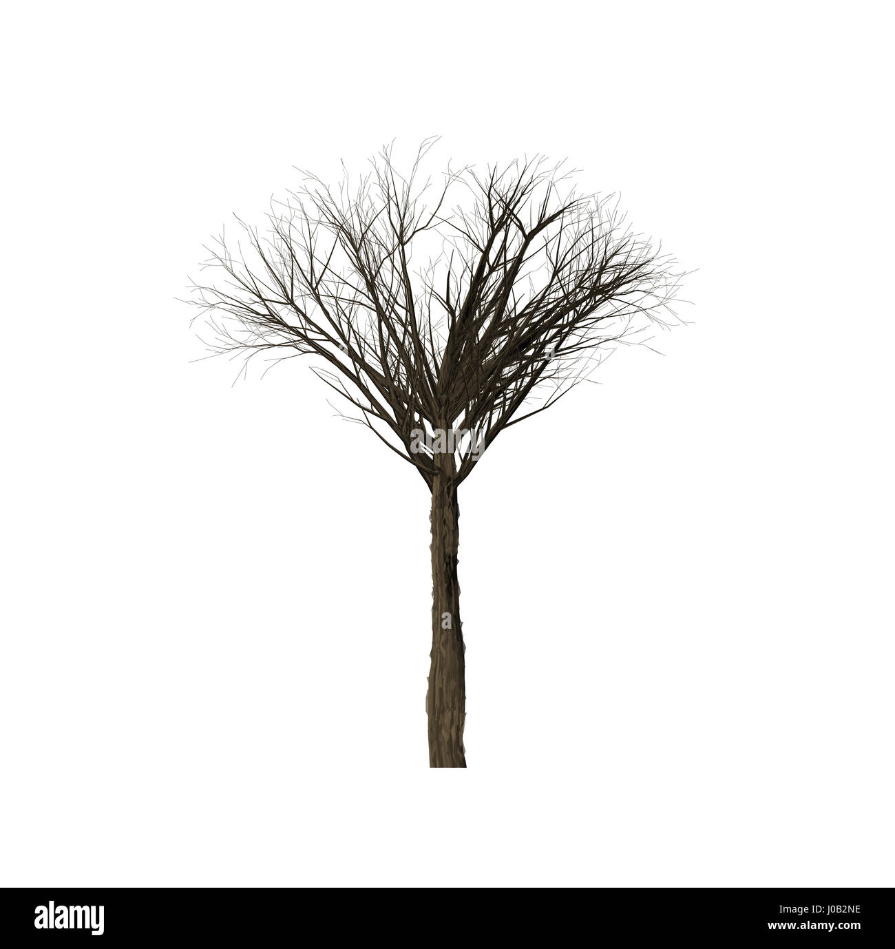 Dead trees of computer graphics in create isolated on white background ...