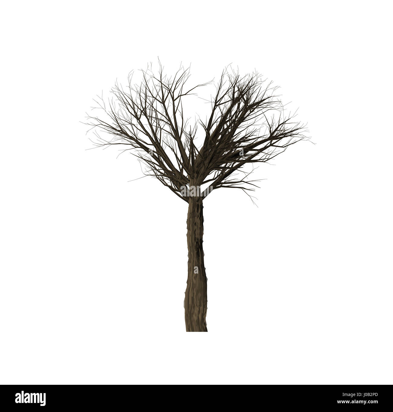 Dead tree in landscape Cut Out Stock Images & Pictures - Alamy