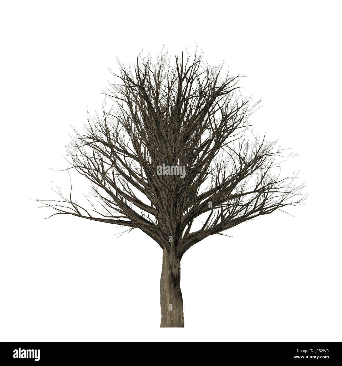 Dead trees in forest Cut Out Stock Images & Pictures - Alamy
