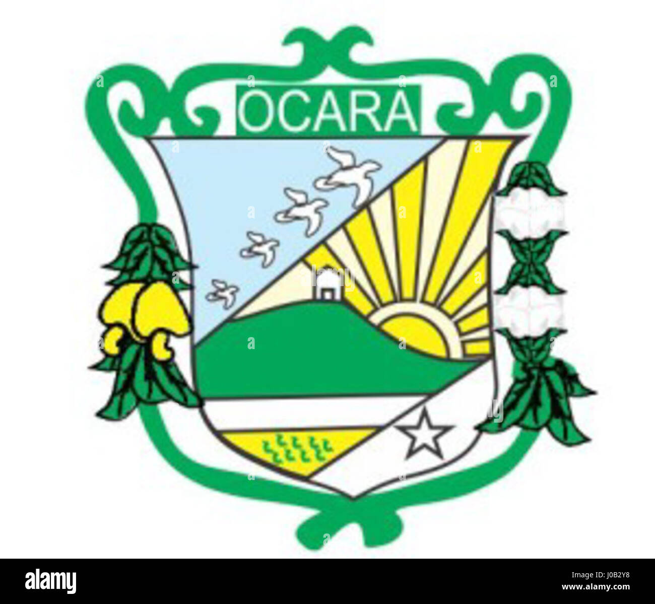 'Ocara brasão' refers to the heraldic coat of arms of the Brazilian ...