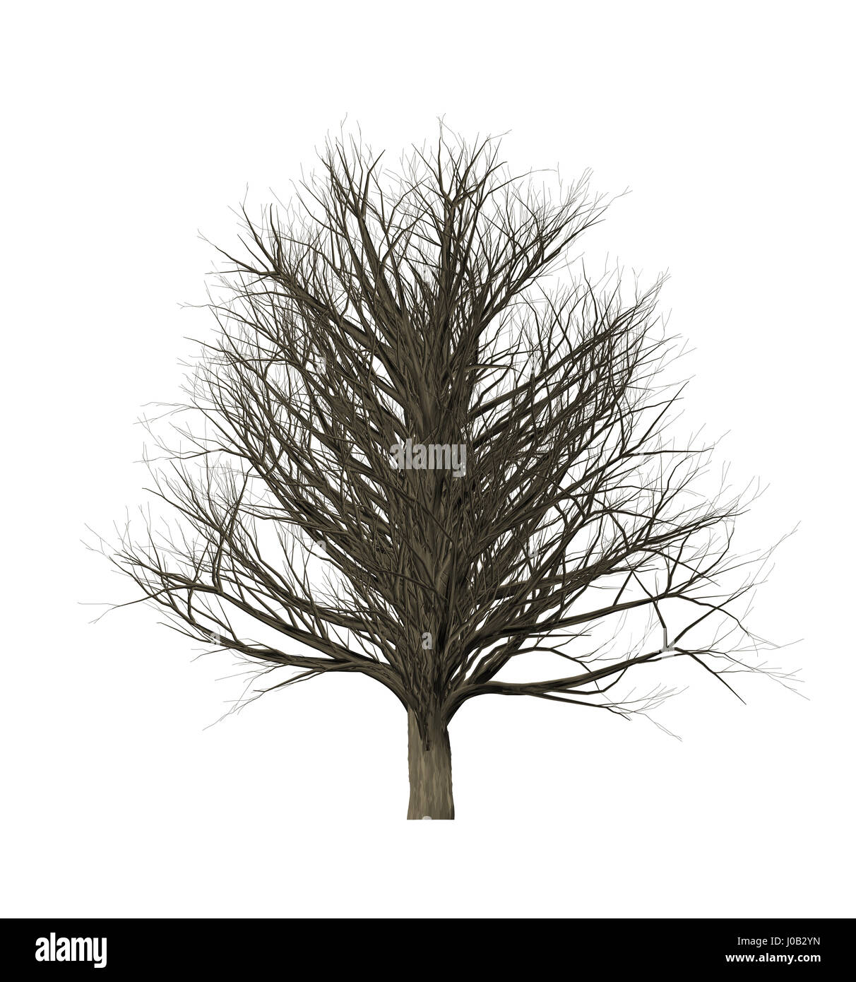 Dead trees of computer graphics in create isolated on white background ...