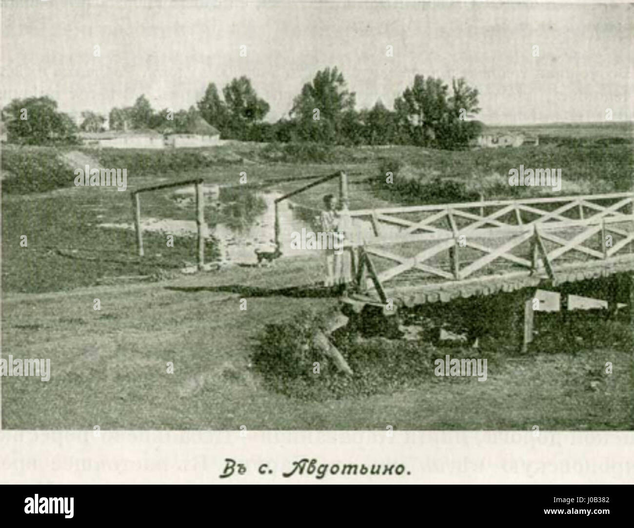 'Дворец Романовых' (Palace of the Romanovs) depicts the grandeur of the ...