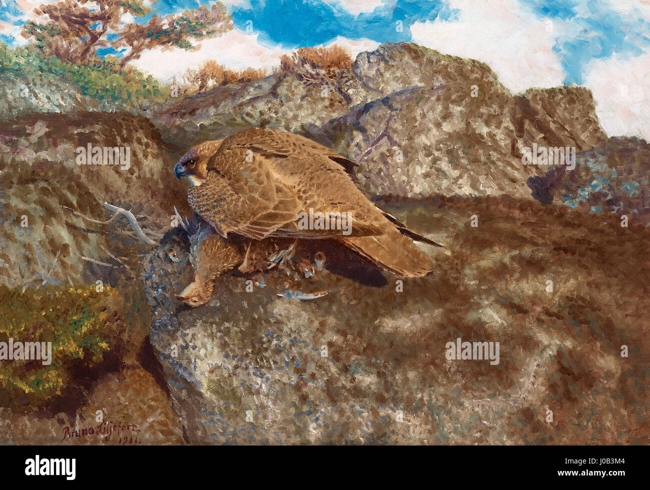 'Ung pilgrimsfalk med ung rapphön' (Young Peregrine Falcon with Young ...