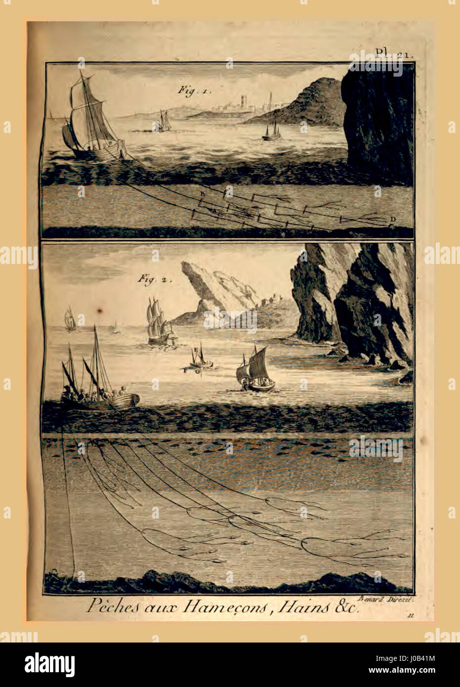 This illustration from the 'Encyclopédie méthodique' focuses on fish ...