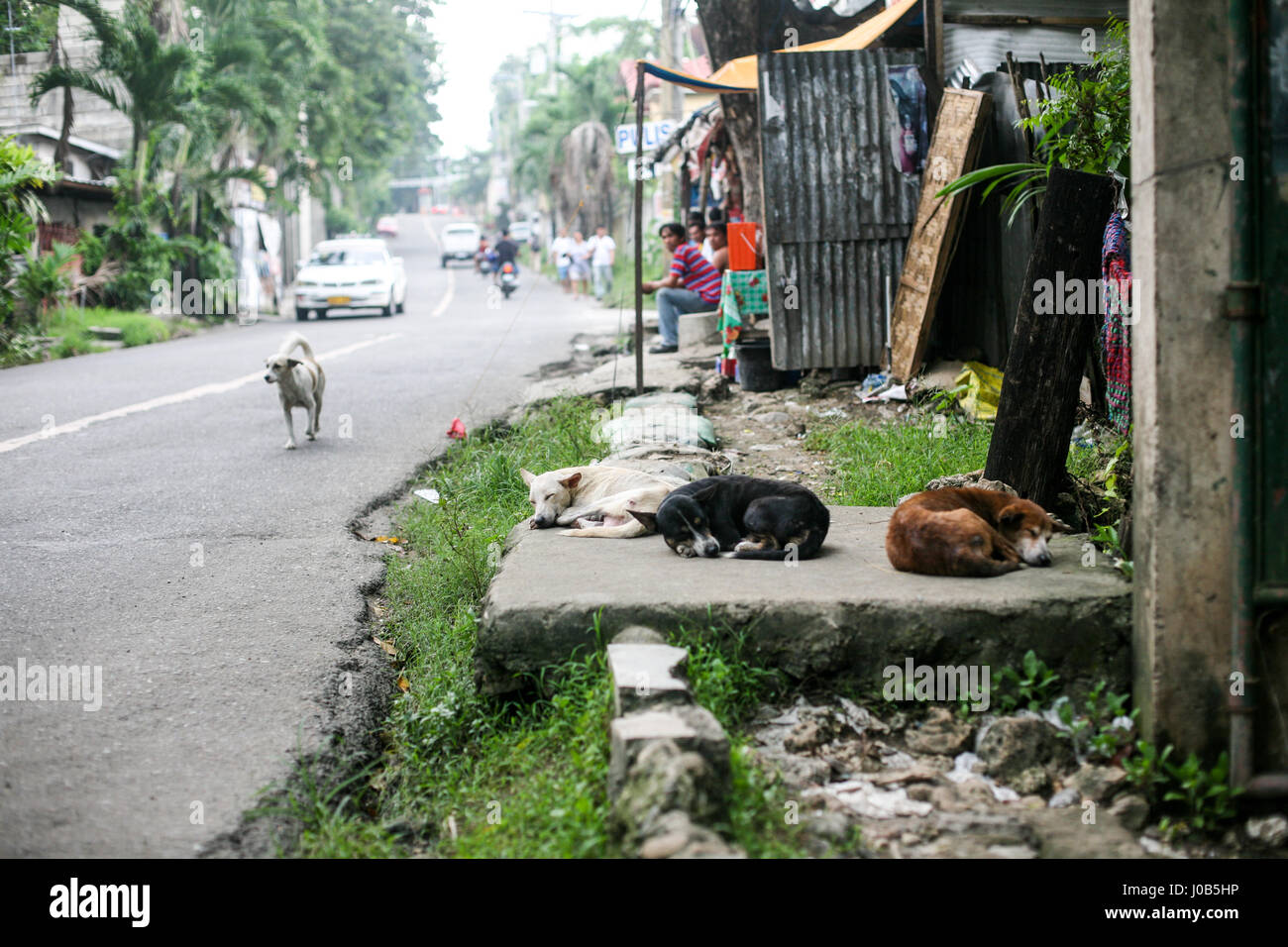 Cebu, Philippines - October 01, 2014. Everyday life of filipinos with ...
