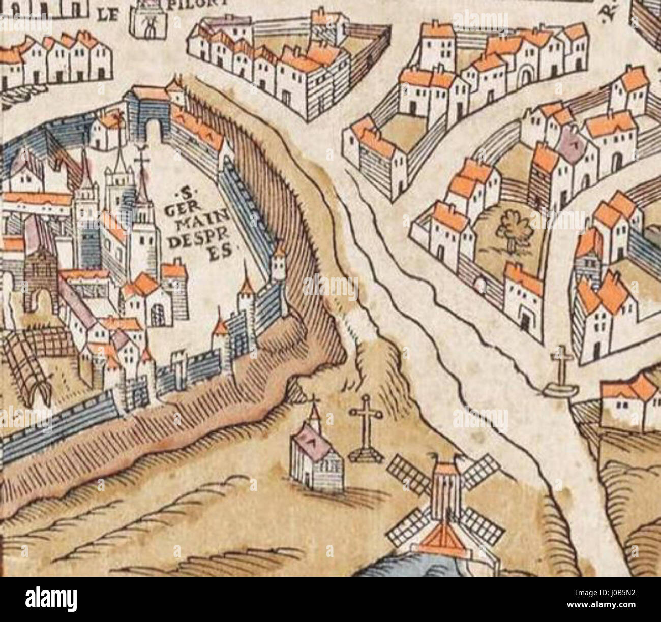 Taranne High Resolution Stock Photography and Images - Alamy