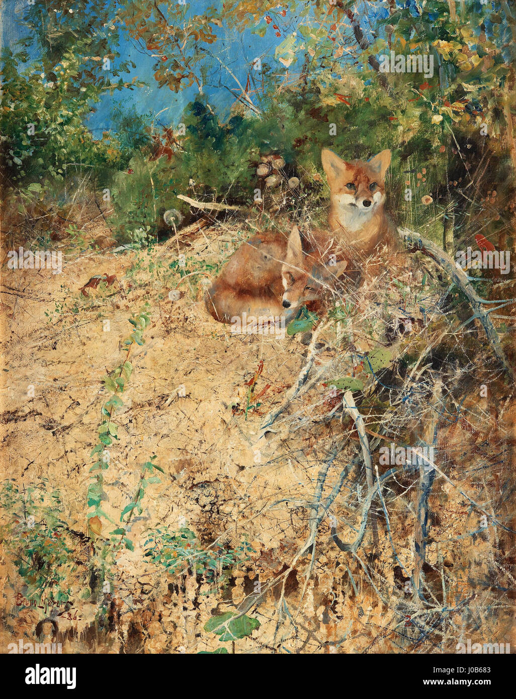 Ravar hi-res stock photography and images - Alamy