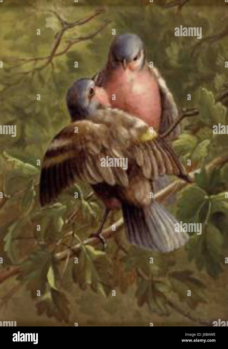 Hilbert hi-res stock photography and images - Alamy