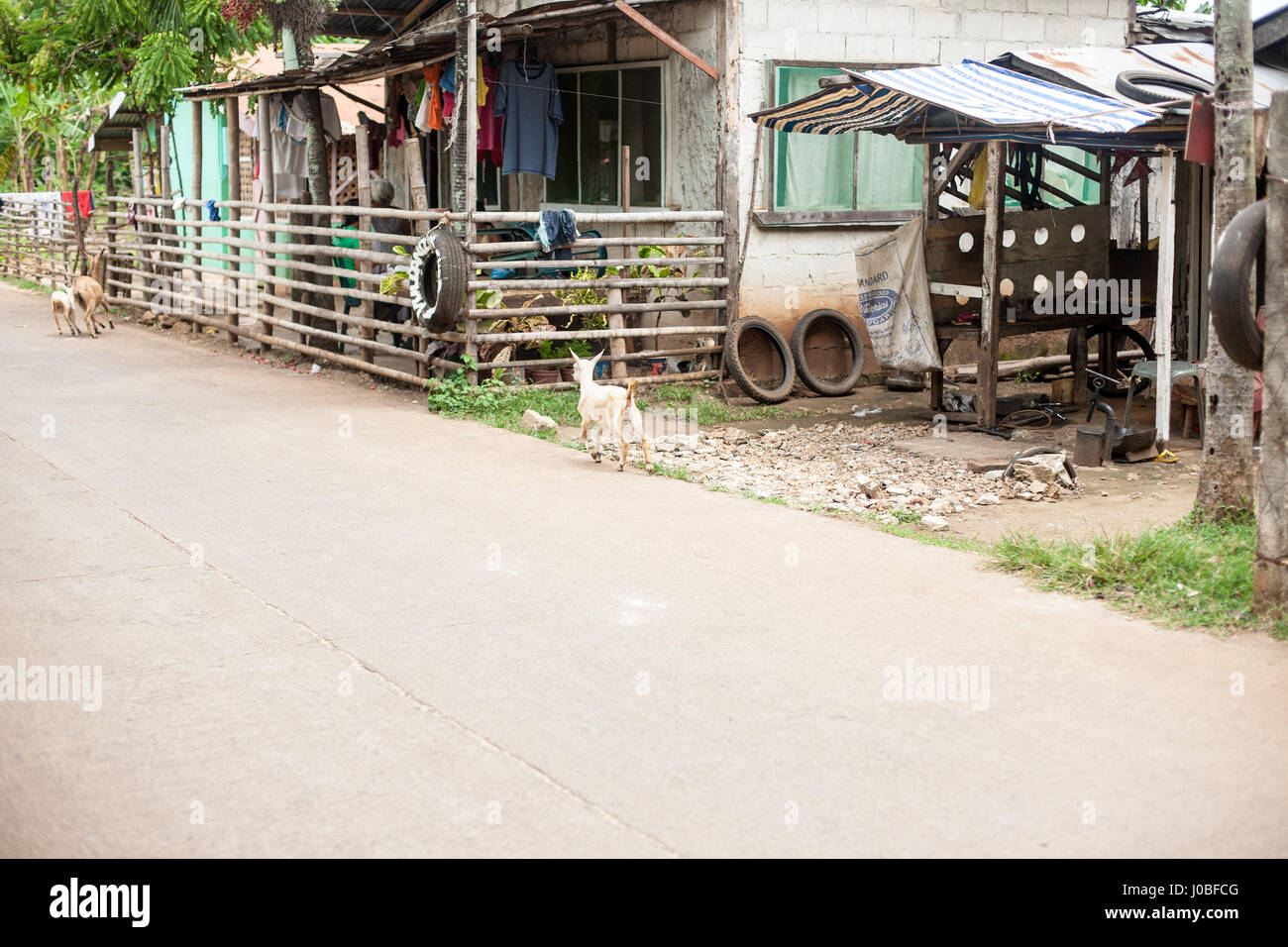 Everyday life of filipinos with traditiones in Cebu city Philippines ...