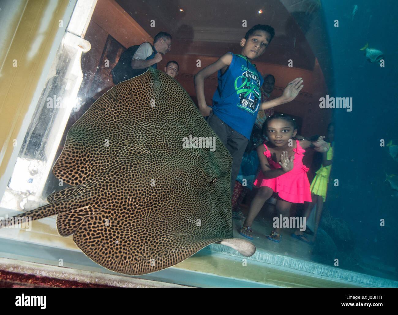 Underwater restaurant dubai hi-res stock photography and images - Alamy