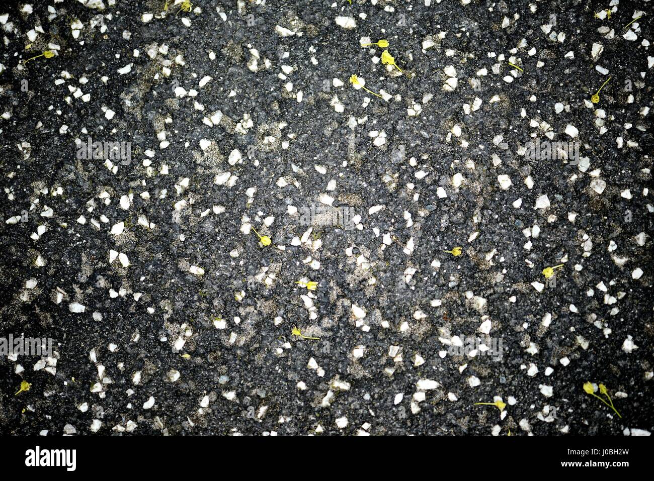 asphalt background with white stones inside Stock Photo - Alamy