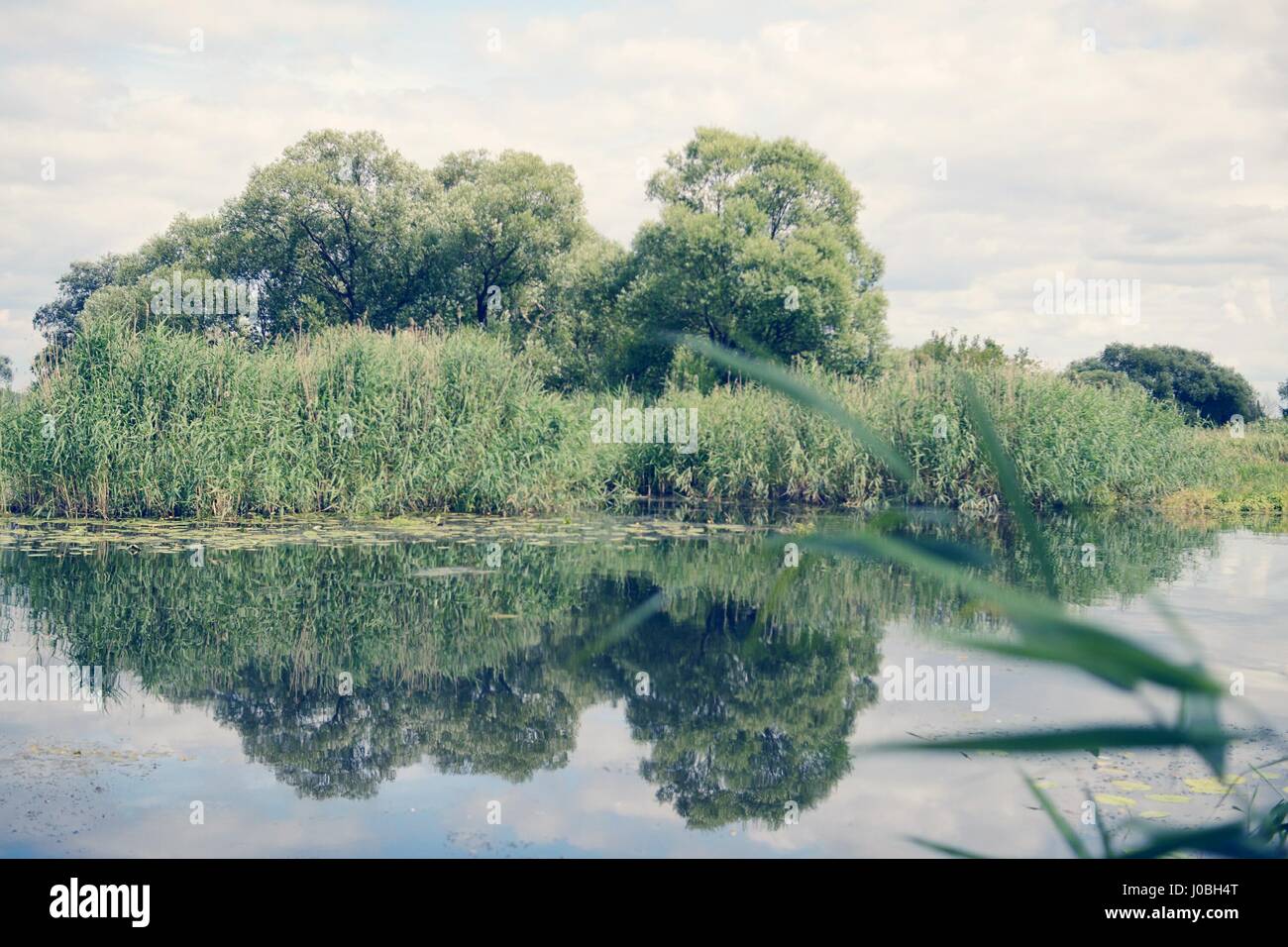 Havel river landscape at summer time (Havelland, Germany). Vintage ...