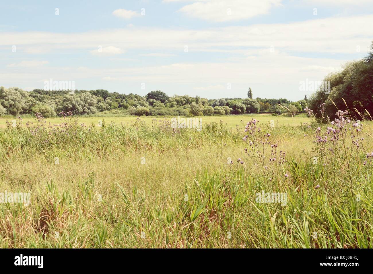 Havel river landscape at summer time (Havelland, Germany). Vintage ...