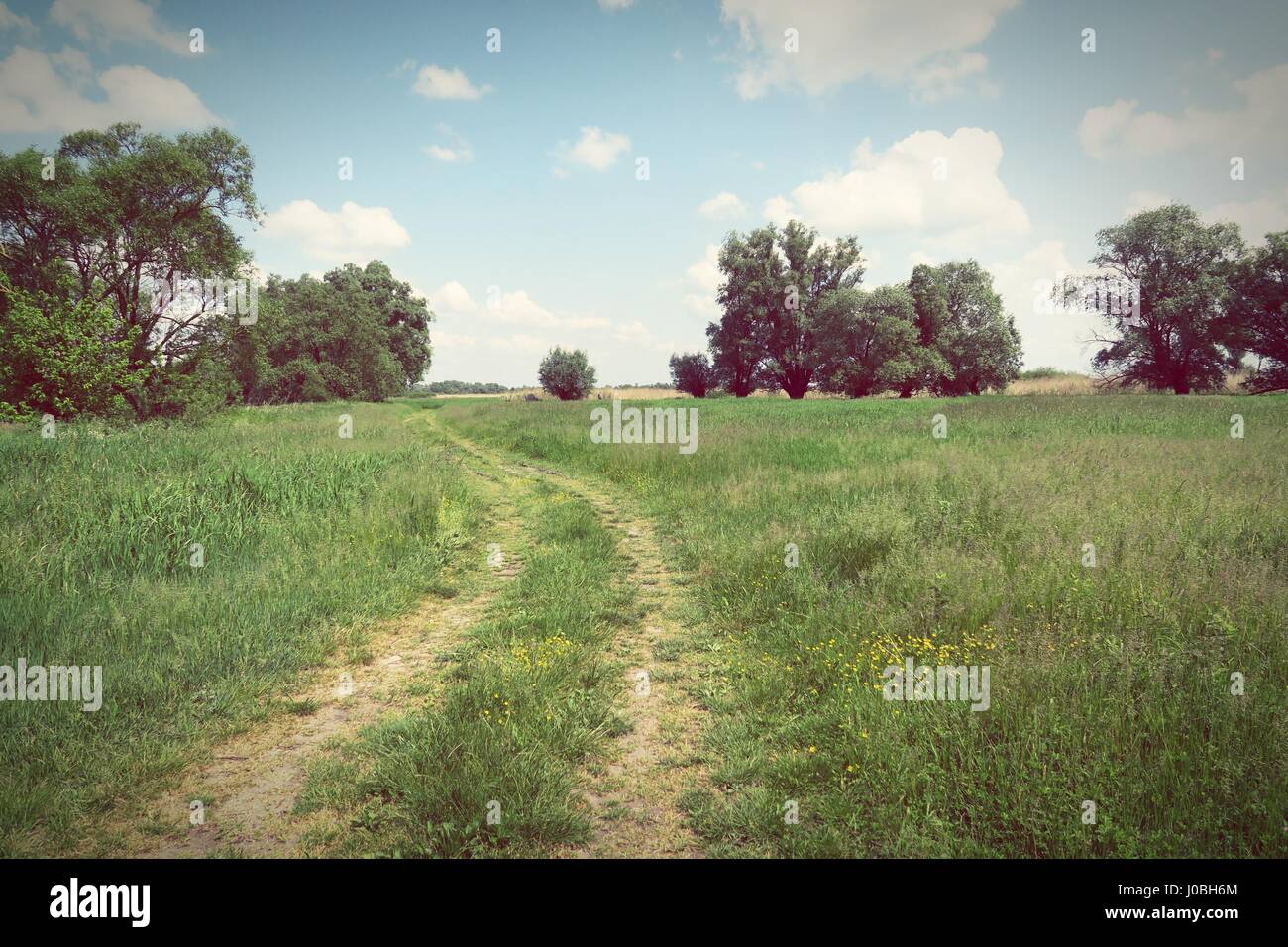 Havel river landscape at summer time (Havelland, Germany). Vintage ...
