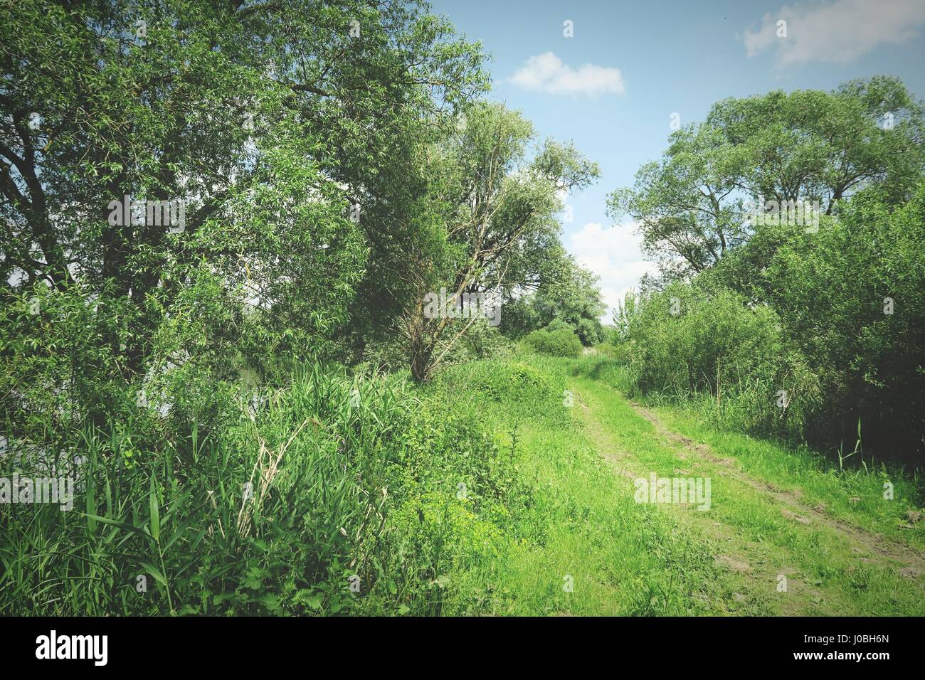 Havel river landscape at summer time (Havelland, Germany). Vintage ...