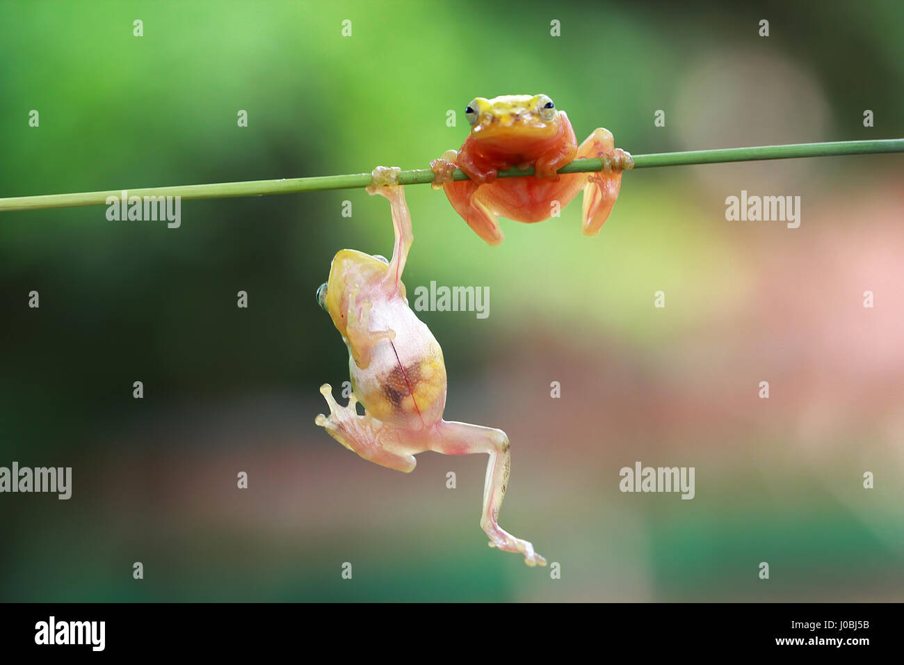 THE MOST incredible shots so far taken of a newly discovered ...