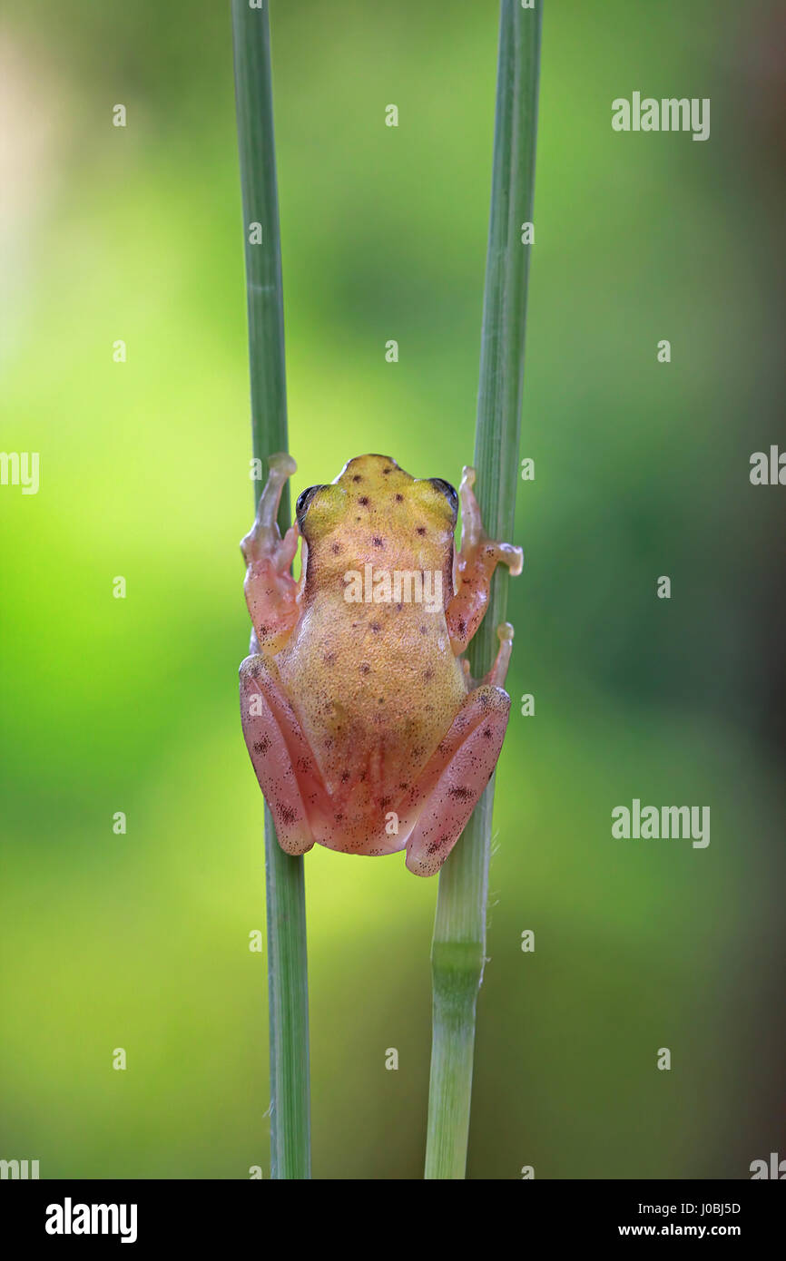 THE MOST incredible shots so far taken of a newly discovered ...