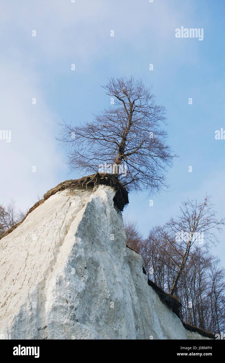 chalk cliff rocks of Rugen isle at National park Jasmund (Mecklenburg ...