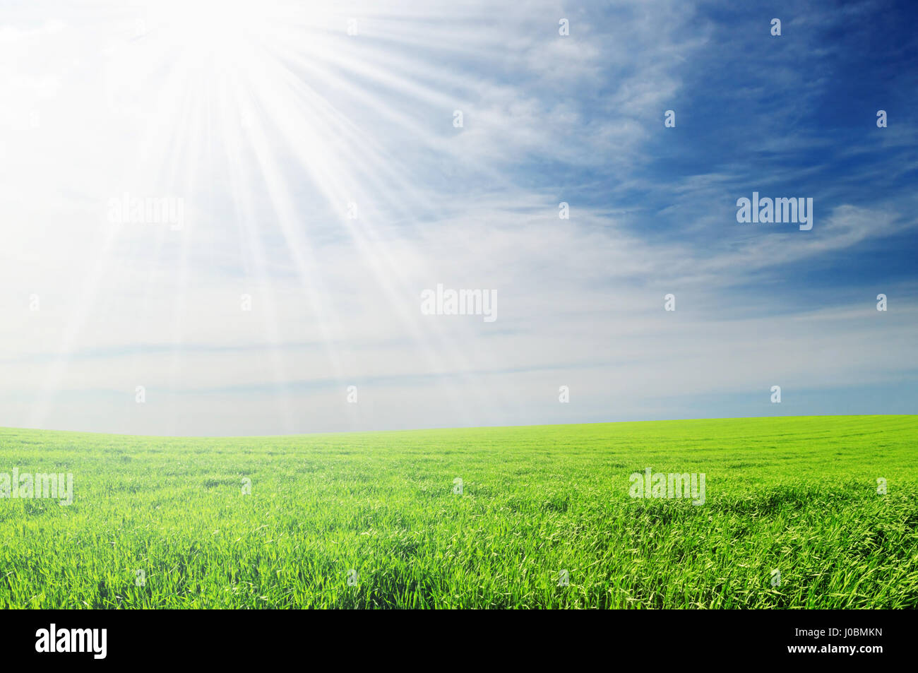 Field fields pasture meadow hi-res stock photography and images - Alamy