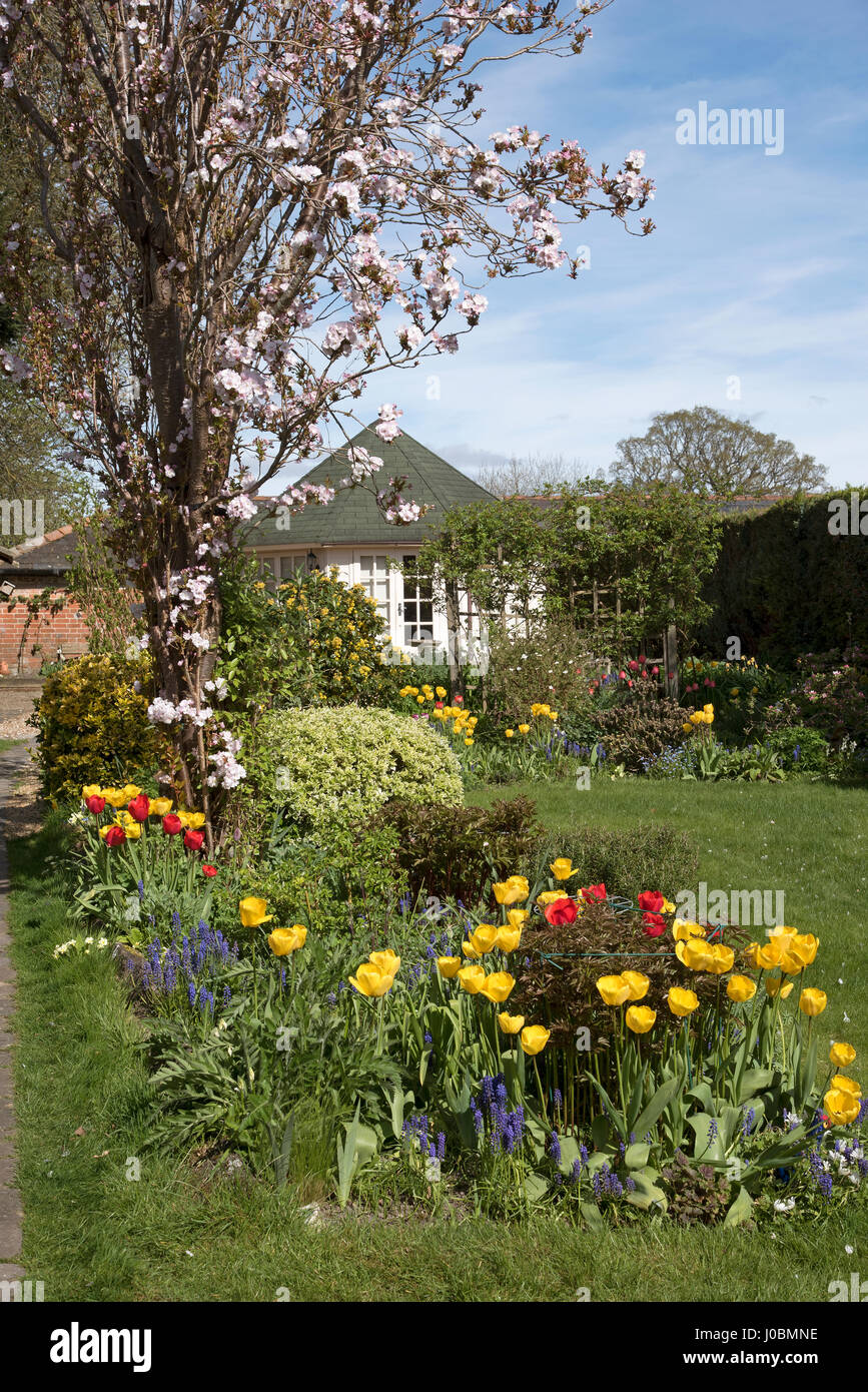 A Hampshire English country garden in Spring in a setting with a garden ...