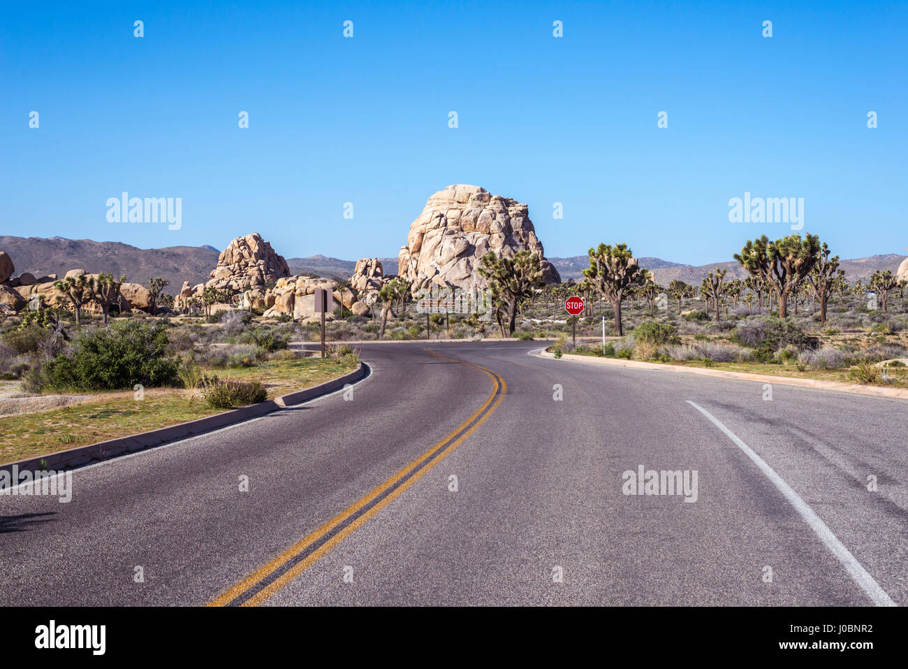 Desert landscape and road running through Joshua Tree National Park ...