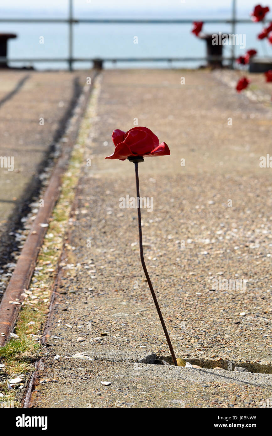 Lone poppy of Poppies Wave section of Blood Swept Lands and Seas of Red ...