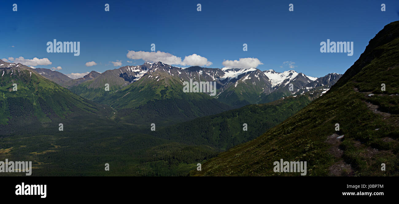 a panorama of an Alaskan mountain range from high up on a mountainside ...