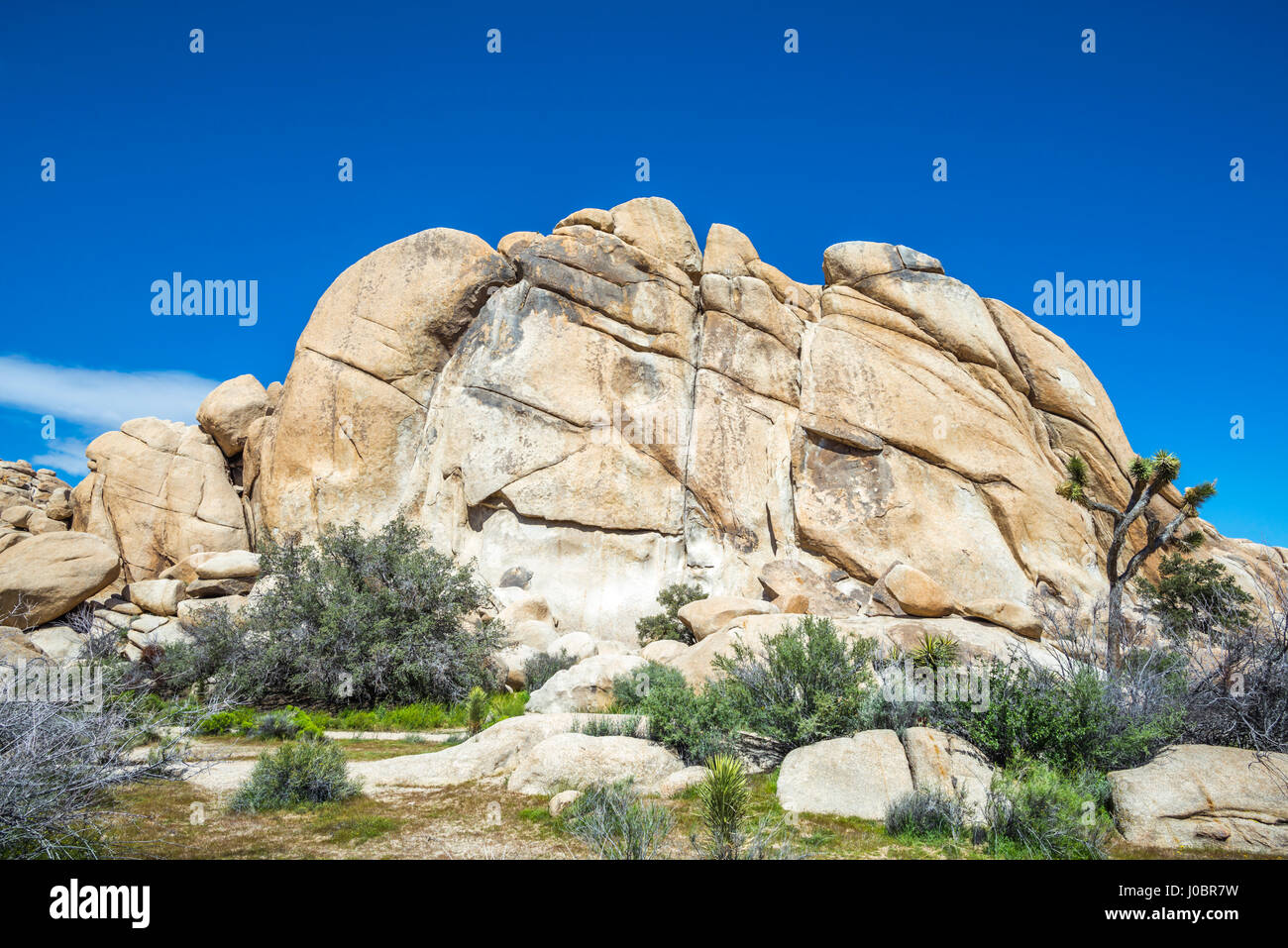Tree and rock view hi-res stock photography and images - Alamy