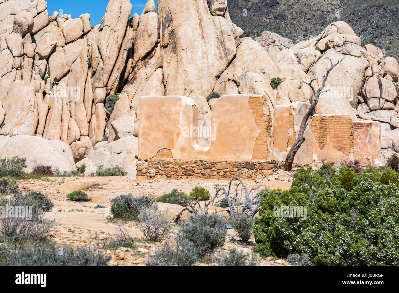 Desert landscape and the remnants of the Ryan Ranch. Joshua Tree ...