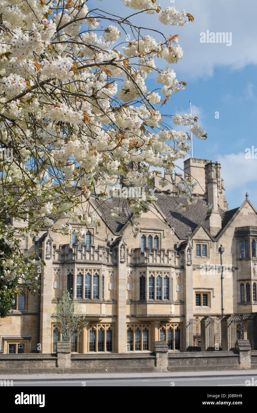 Blossom flowers tree hi-res stock photography and images - Alamy