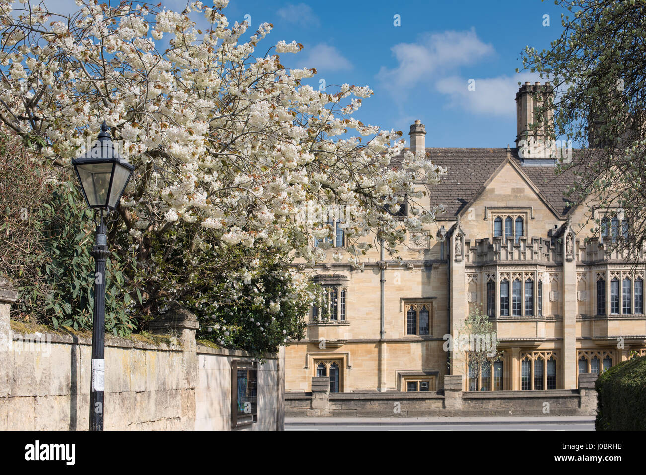 Blossom flowers tree hi-res stock photography and images - Alamy