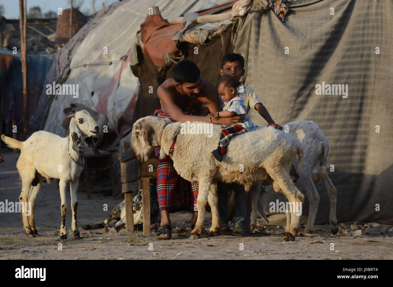 Pakistani gypsy family busy in their routine work at the bank of river ...
