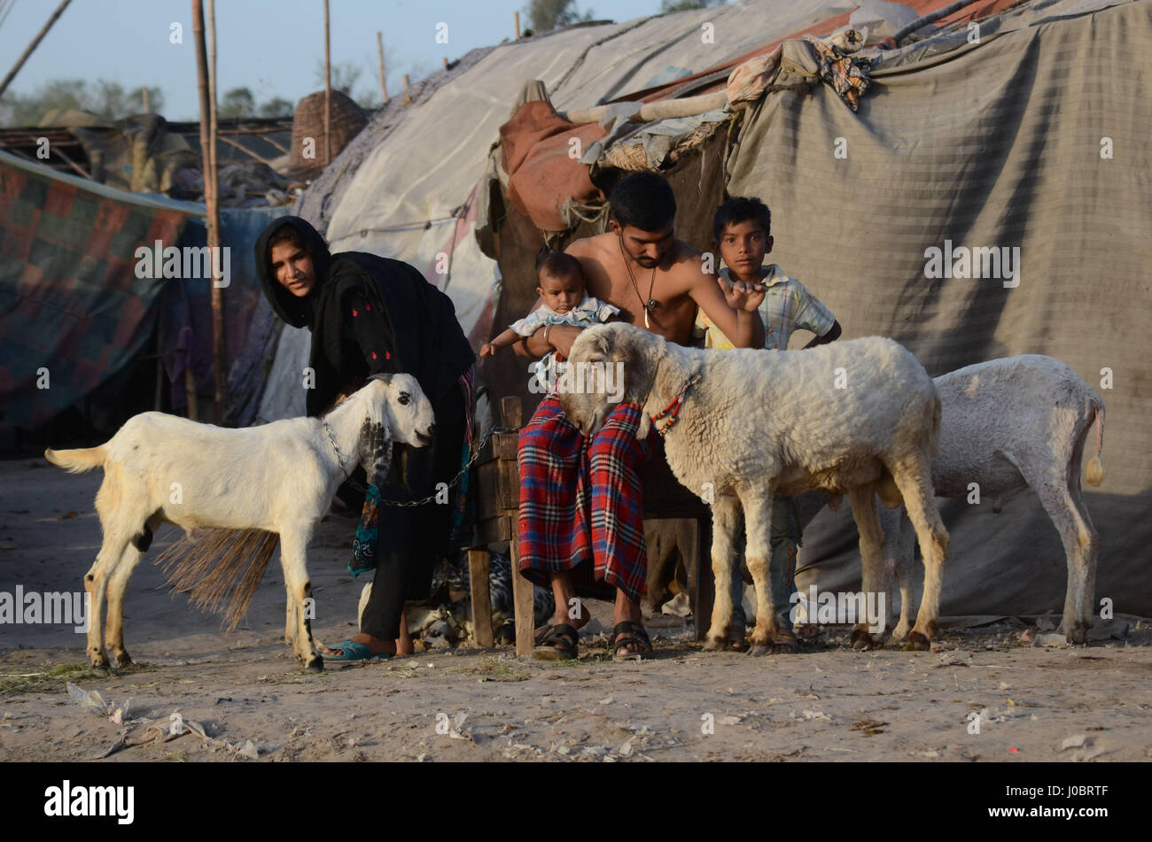 Pakistani gypsy family busy in their routine work at the bank of river ...