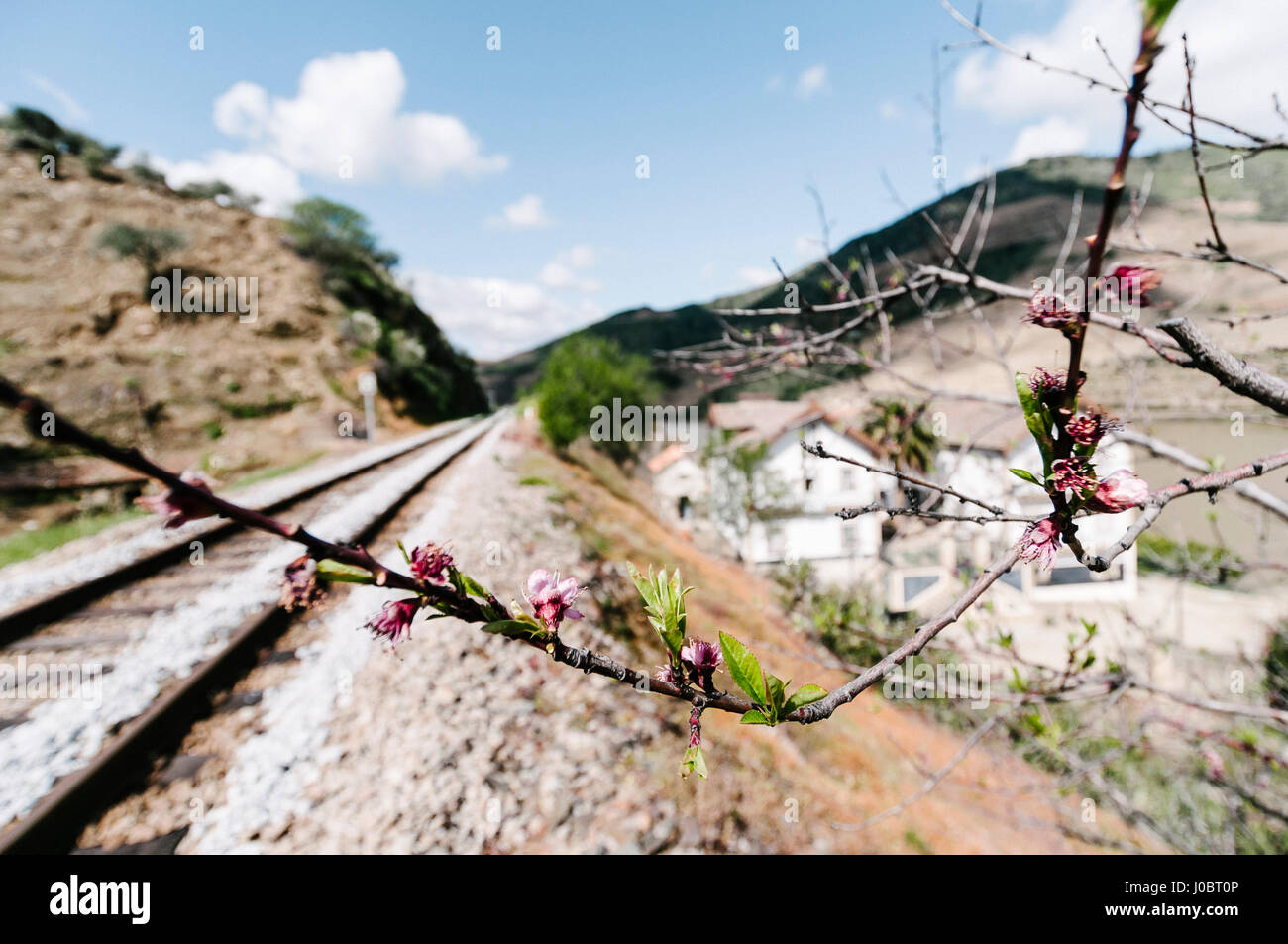 Train porto douro hi-res stock photography and images - Alamy