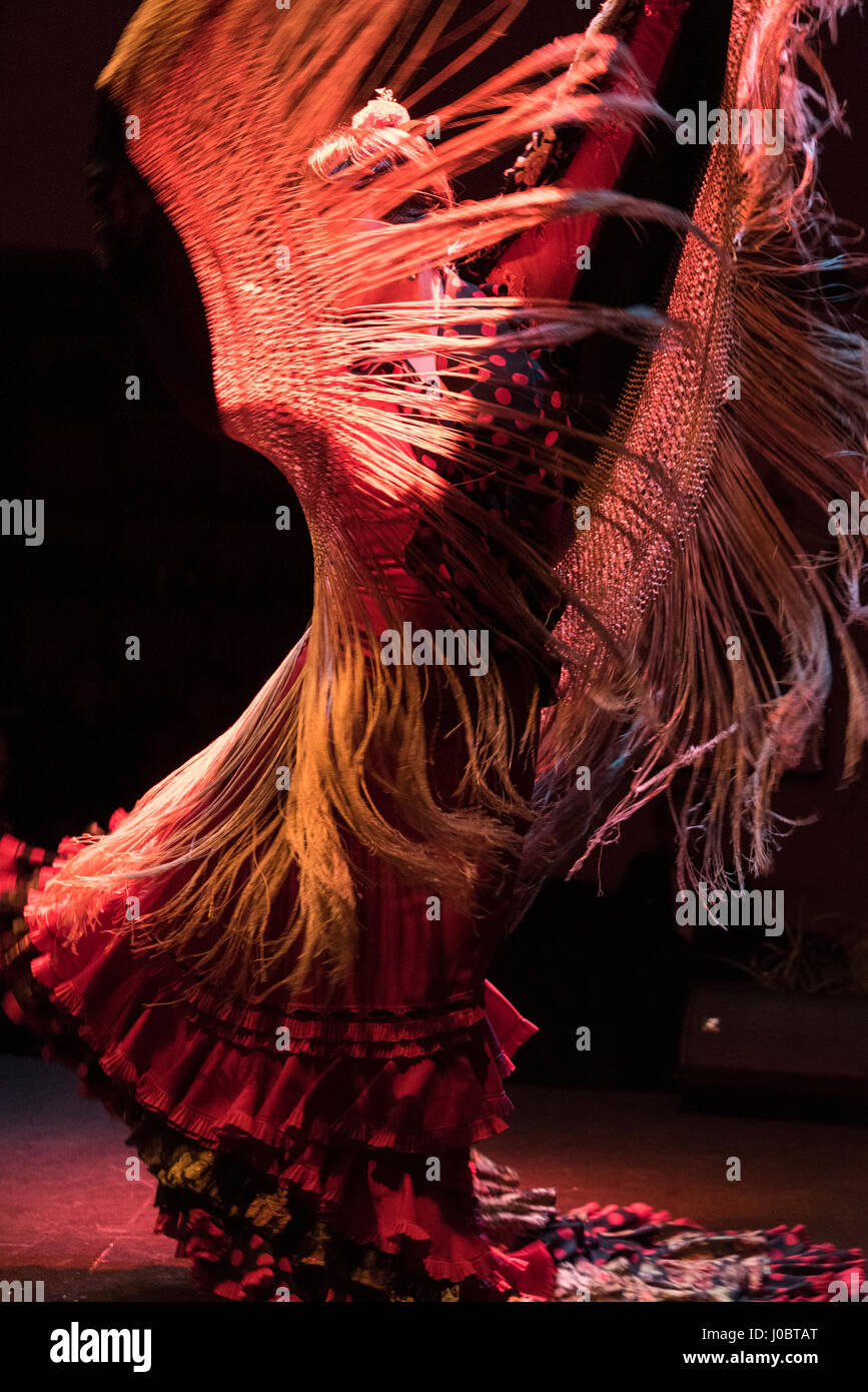 A nightly Flamenco show performed at the Museo del Baile Flamenco in ...