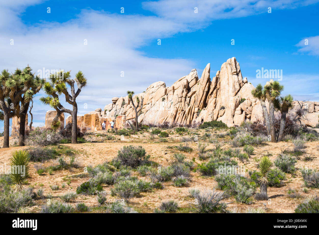 Desert landscape and the remnants of the Ryan Ranch. Joshua Tree ...