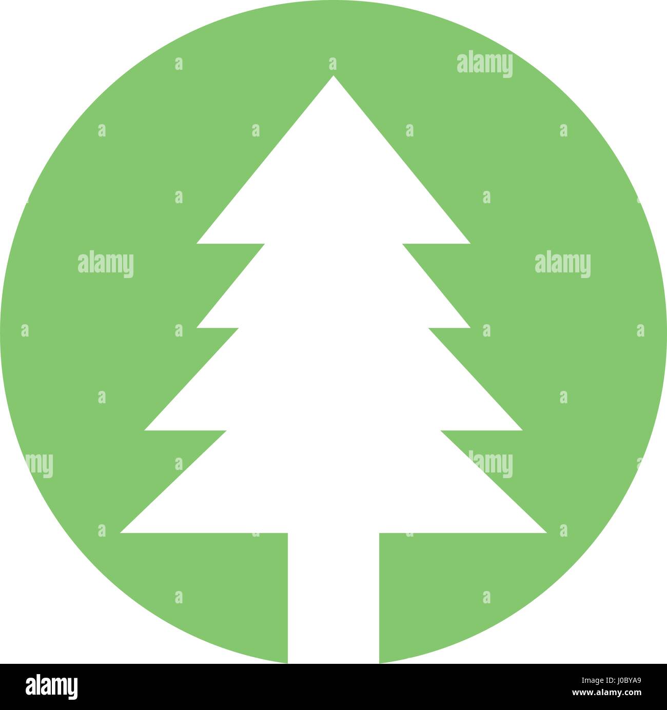Pine tree seedling Stock Vector Images - Alamy