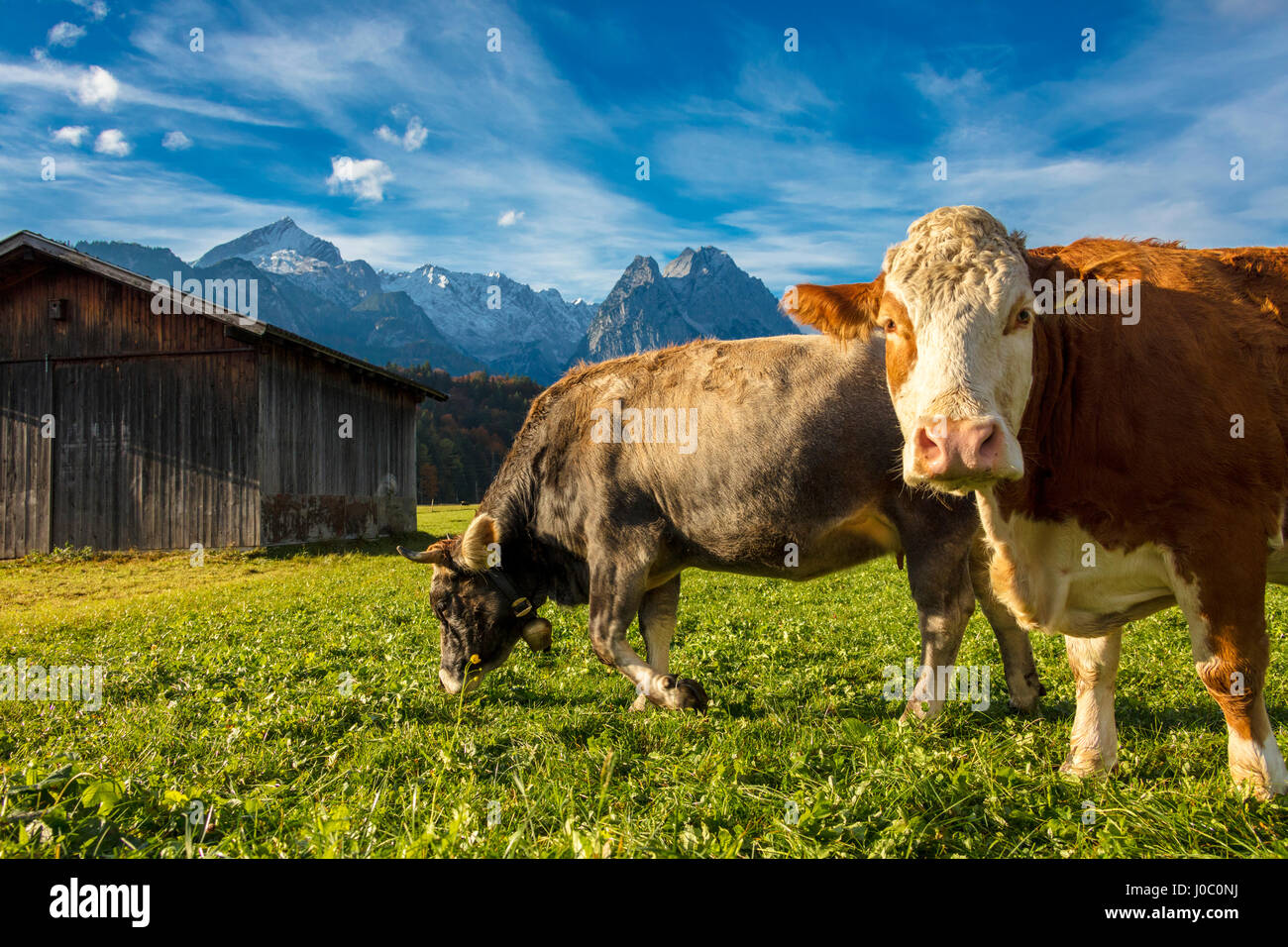 High pastures hi-res stock photography and images - Alamy