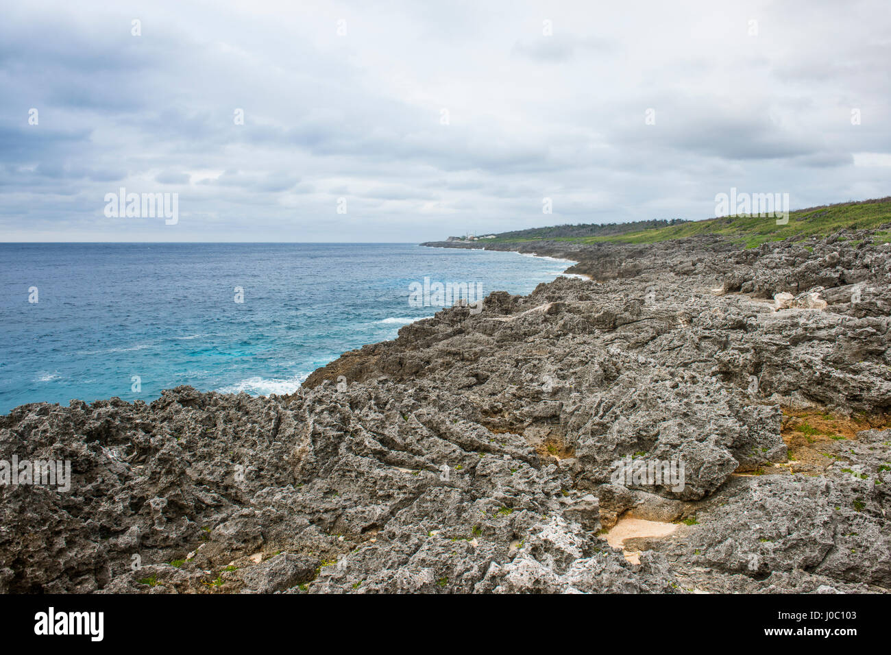Asian coral hi-res stock photography and images - Alamy