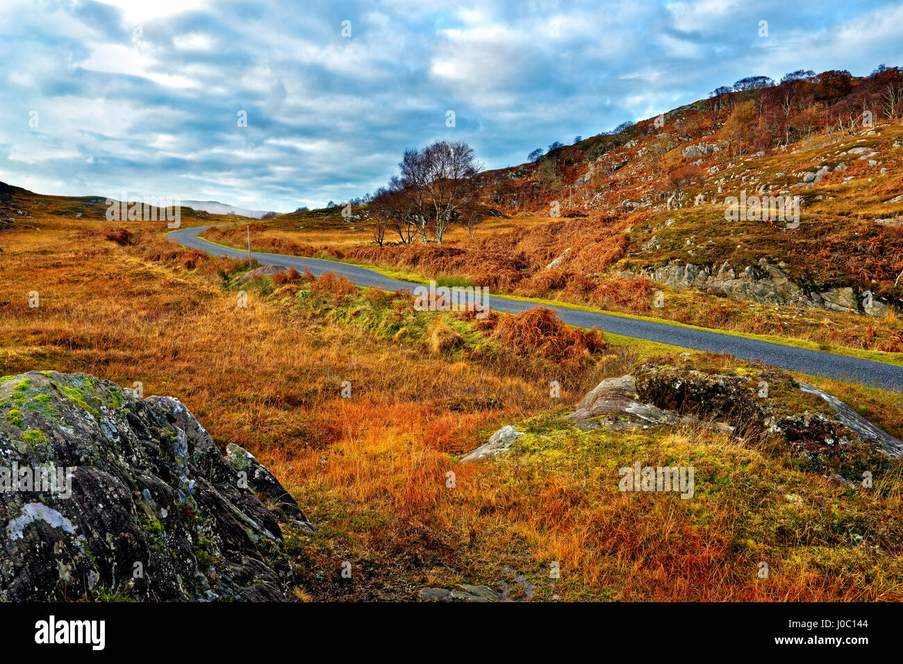 Scottish moors hi-res stock photography and images - Alamy