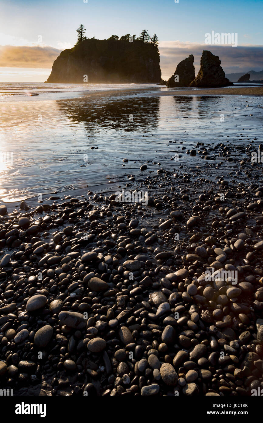 Evening light on Ruby Beach in the Olympic National Park, UNESCO ...