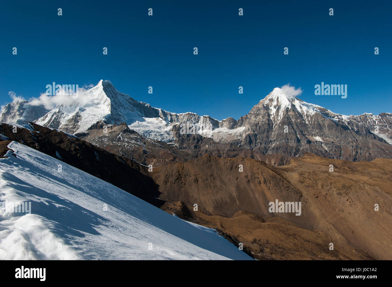Jitchu drake hi-res stock photography and images - Alamy