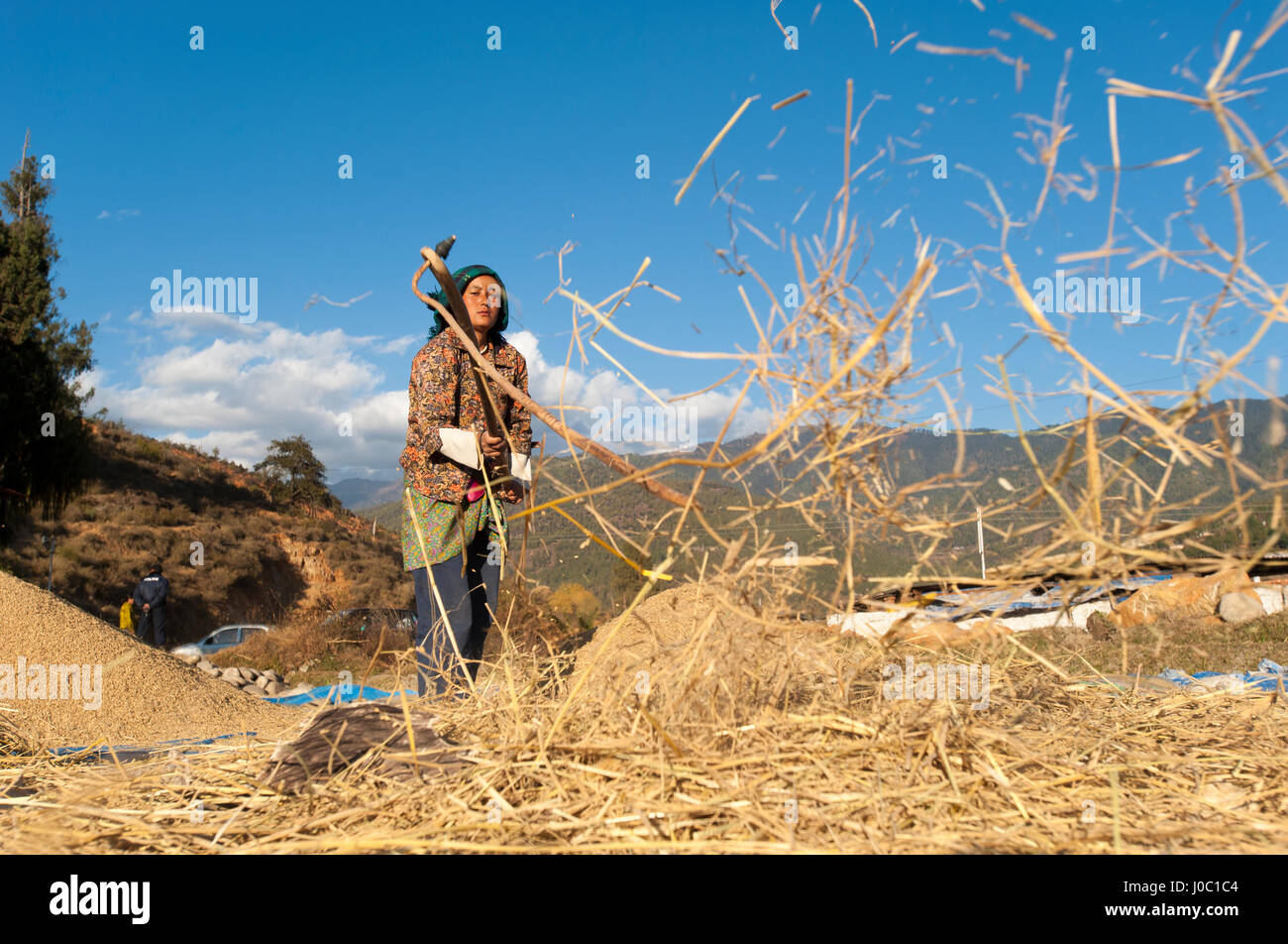 Flail farming hi-res stock photography and images - Alamy