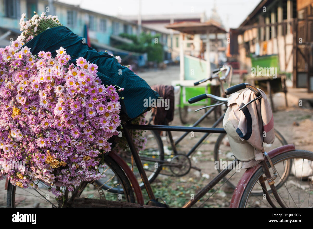 Flowers in myanmar hi-res stock photography and images - Alamy