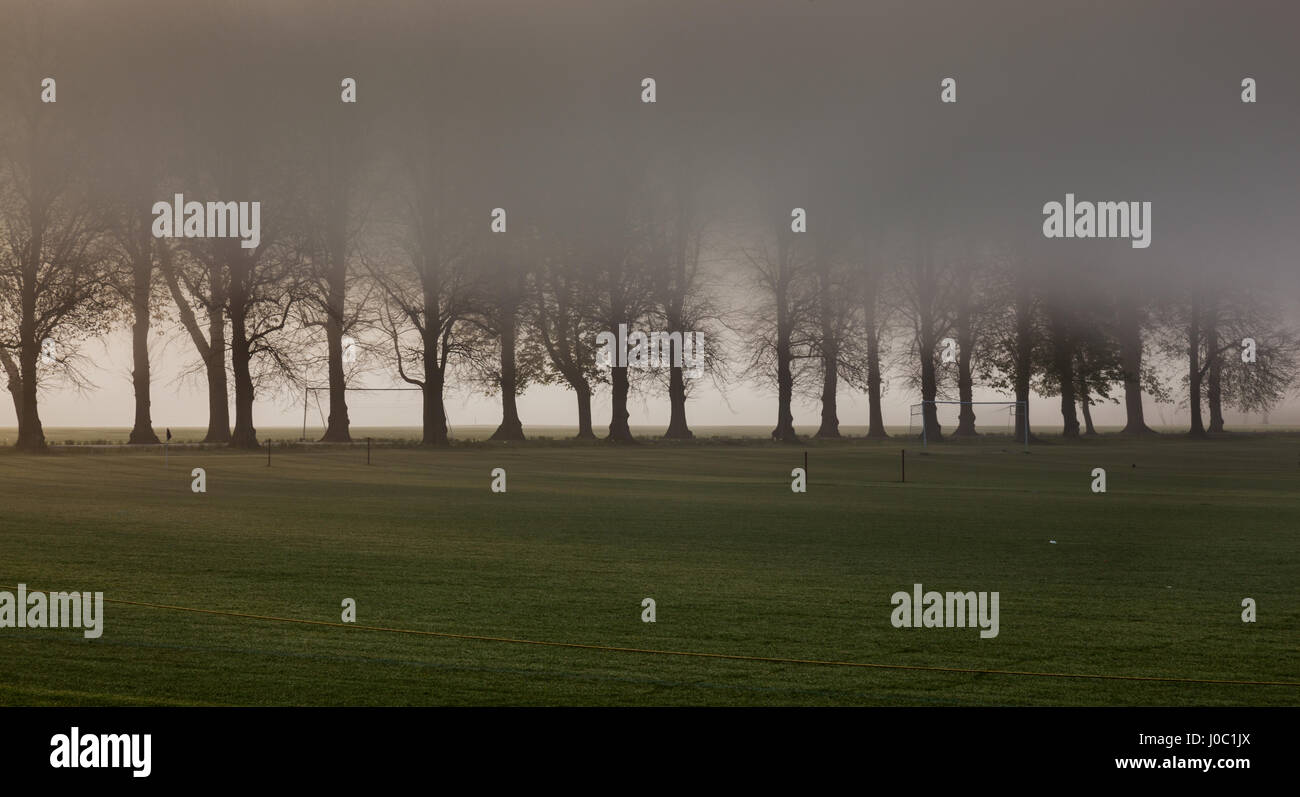 Low mist over trees near the Royal Agricultural University, near ...