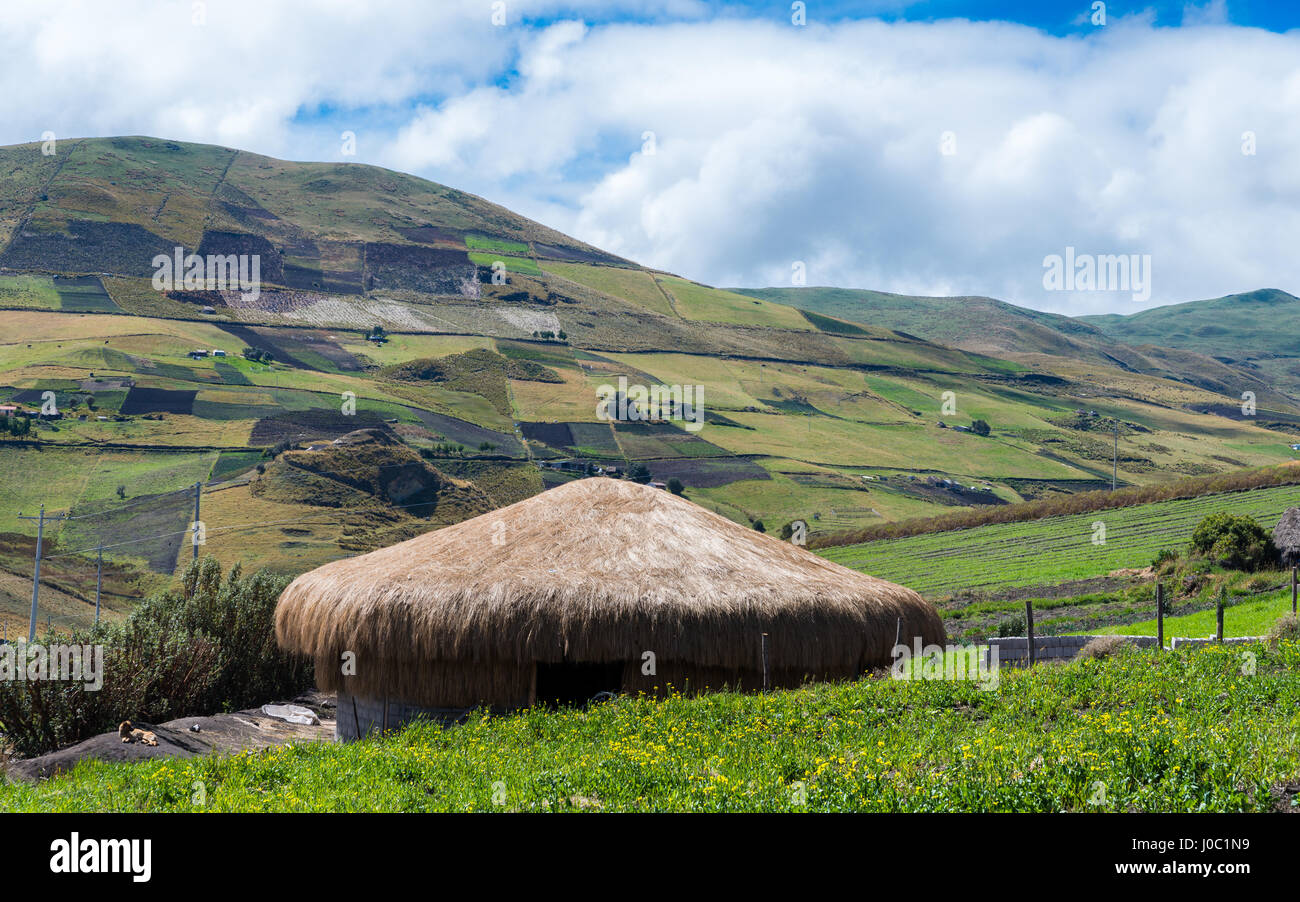 The straw house hi-res stock photography and images - Alamy